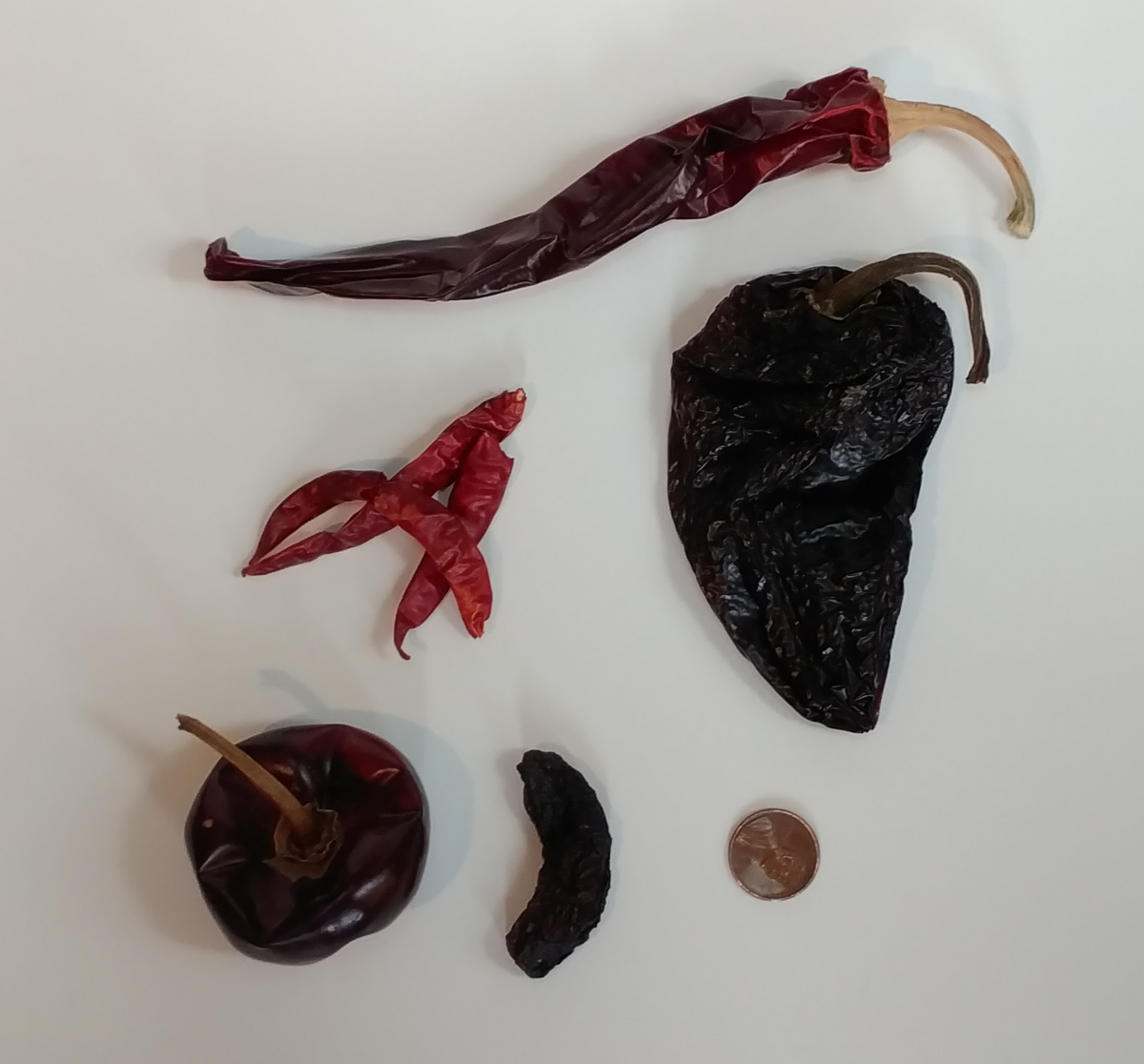 Mexican Chilies (or chiles or chillies) - Bluewater Pepper Farm